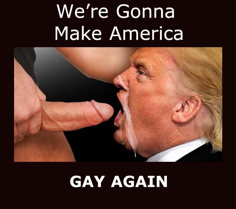 Post 1833244 Donaldtrump Fakes