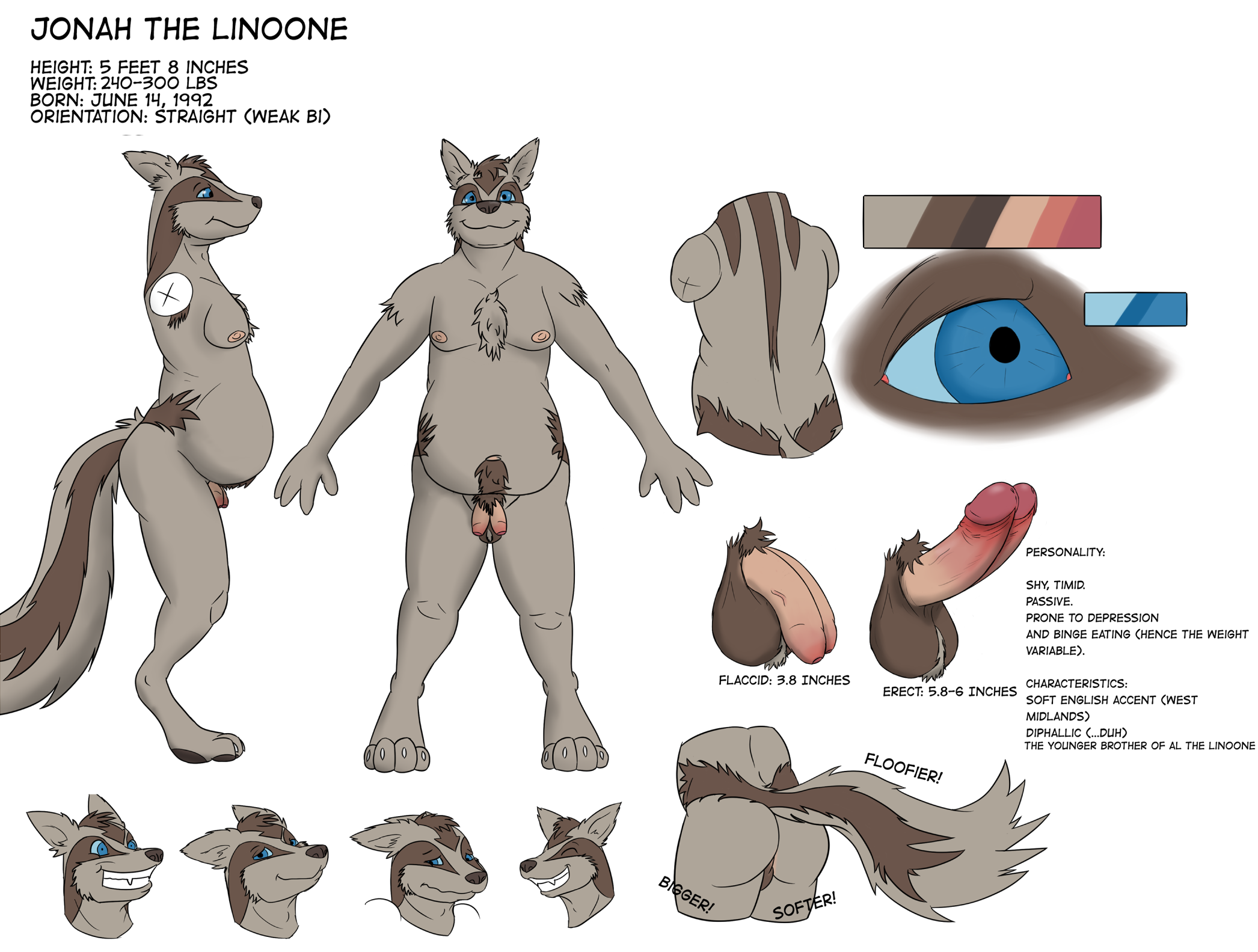 Post 3331328 Alex Fetter Linoone Porkyman
