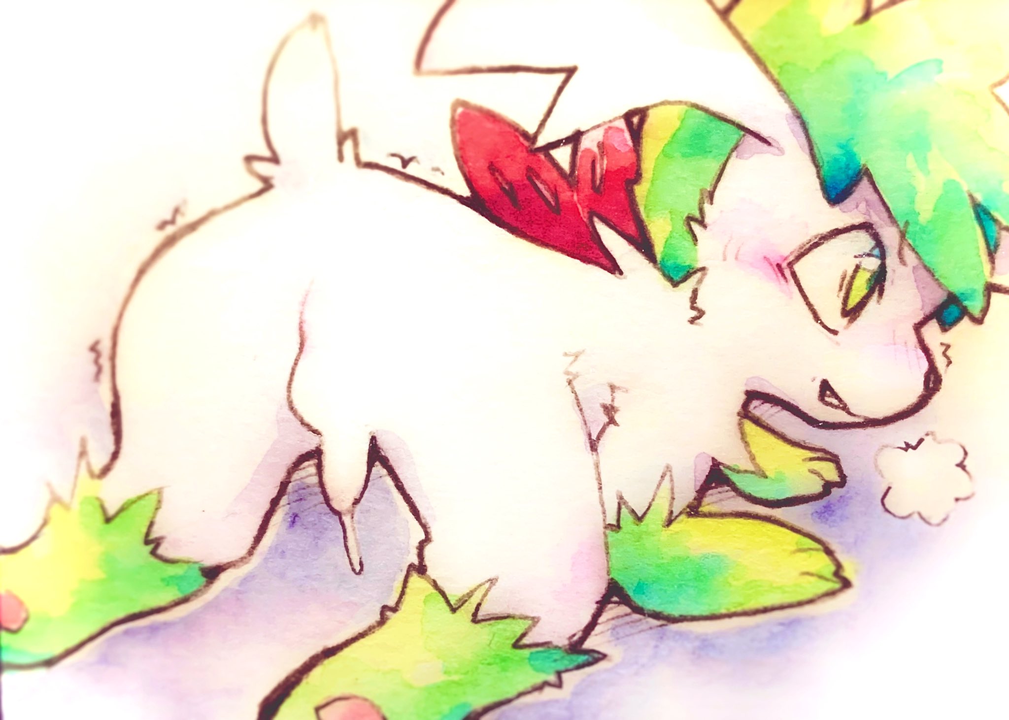Post 4760718 Porkyman Shaymin