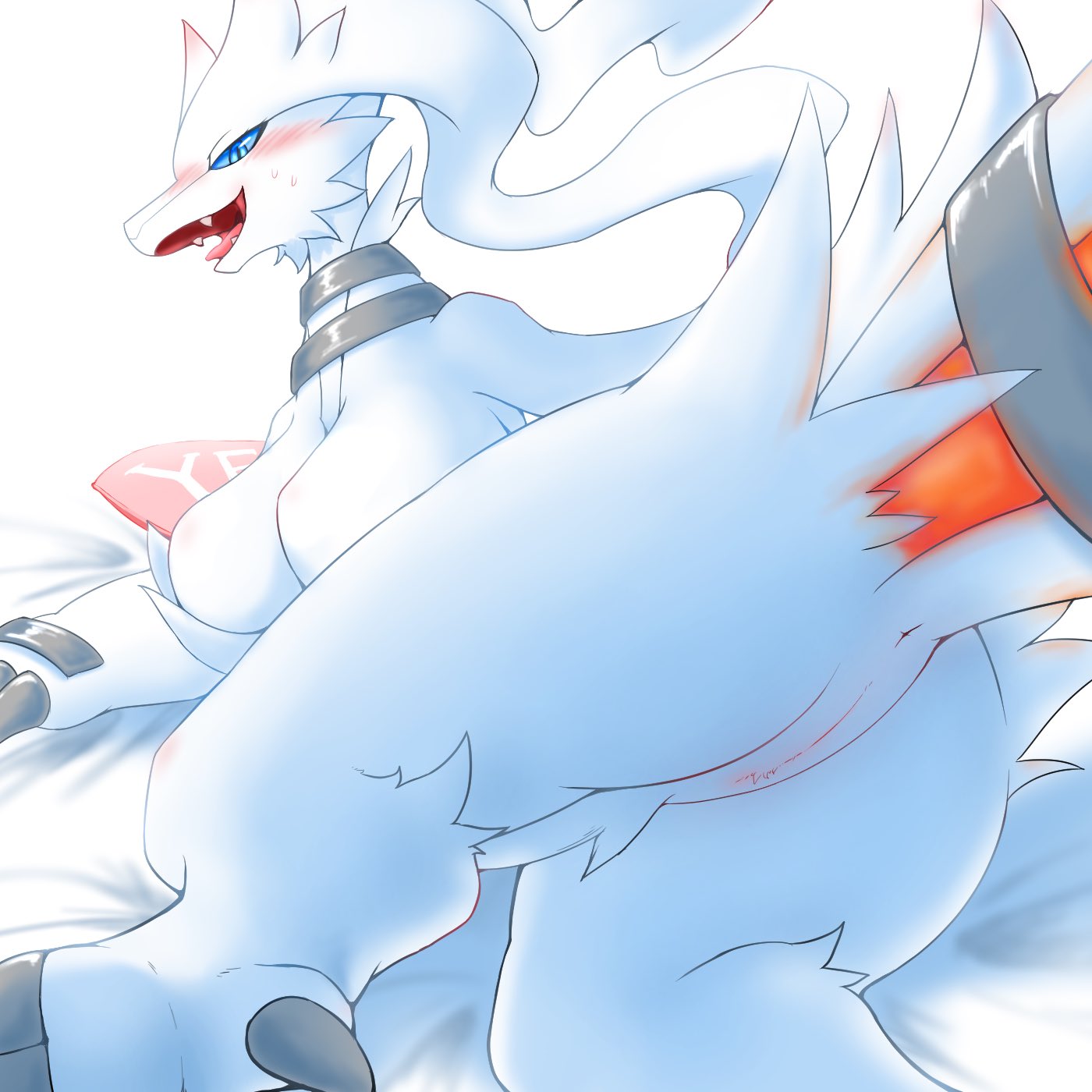 Post 5535873 Natutuna Porkyman Reshiram