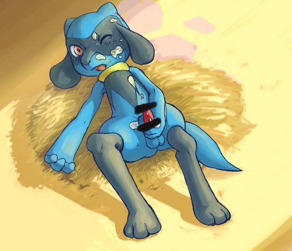 Post 1974600 Porkyman Riolu