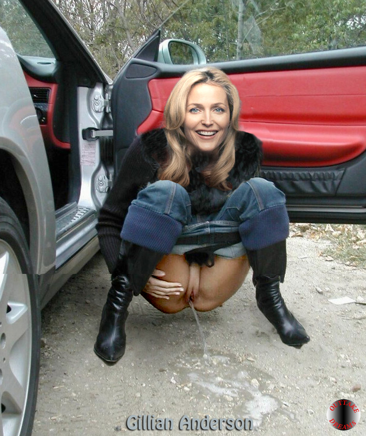 Post 2744480 Fakes Gillian Anderson Outtake Dreams