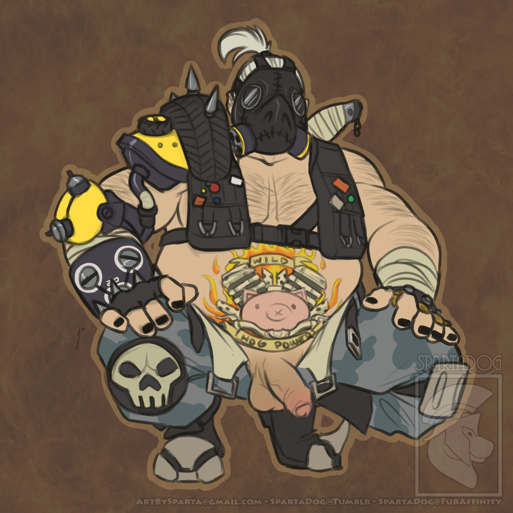 Post 1883416 Overlook Roadhog