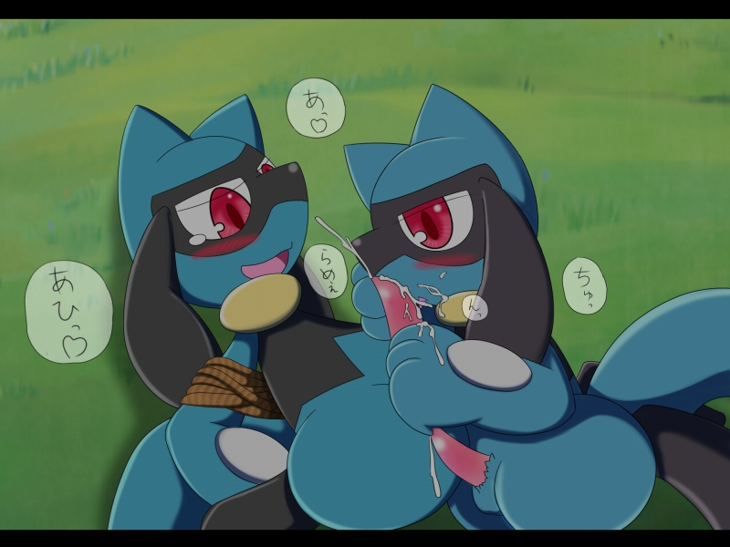 Post 728523 Porkyman Riolu