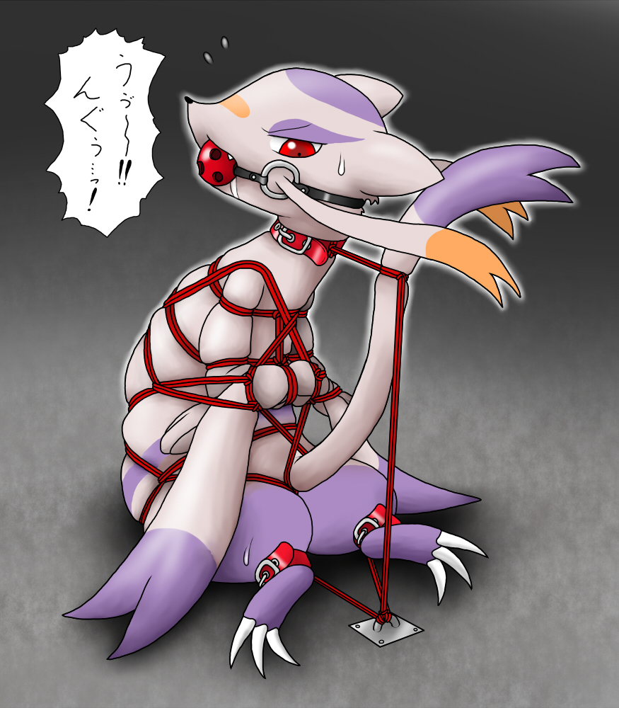 Post 596722 Mienshao Porkyman