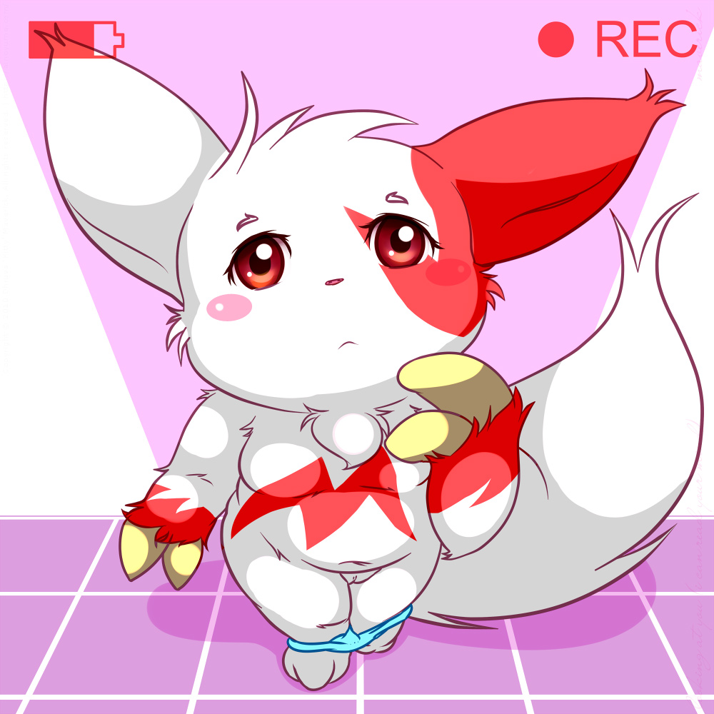 Post 534422 Maverick Porkyman Zangoose