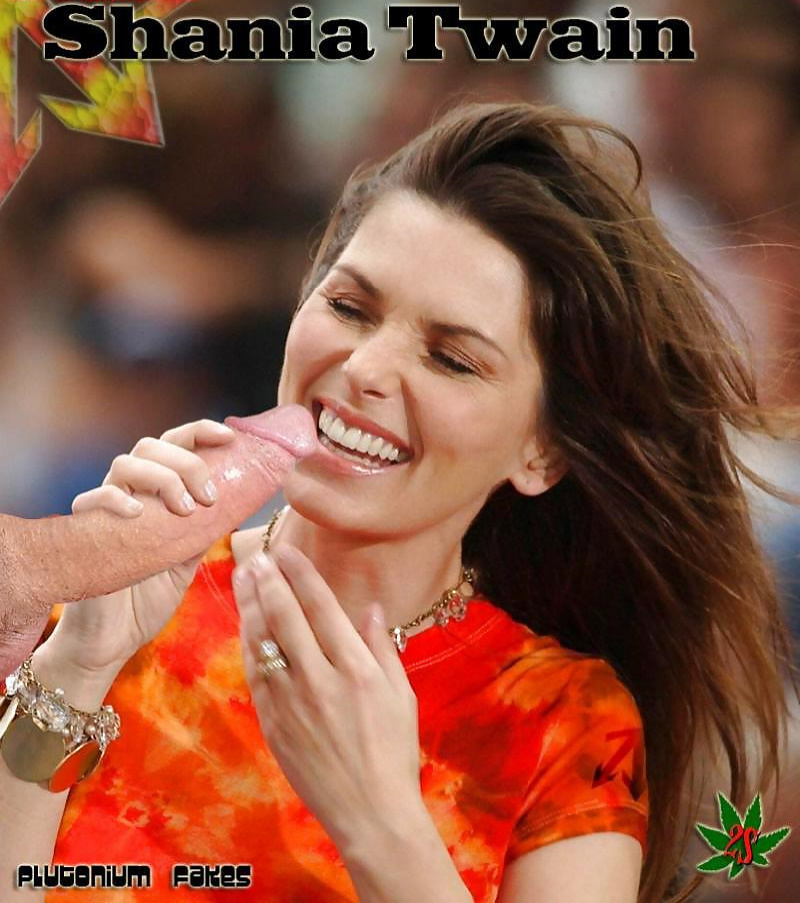 Post 5964491 Fakes Music Shaniatwain